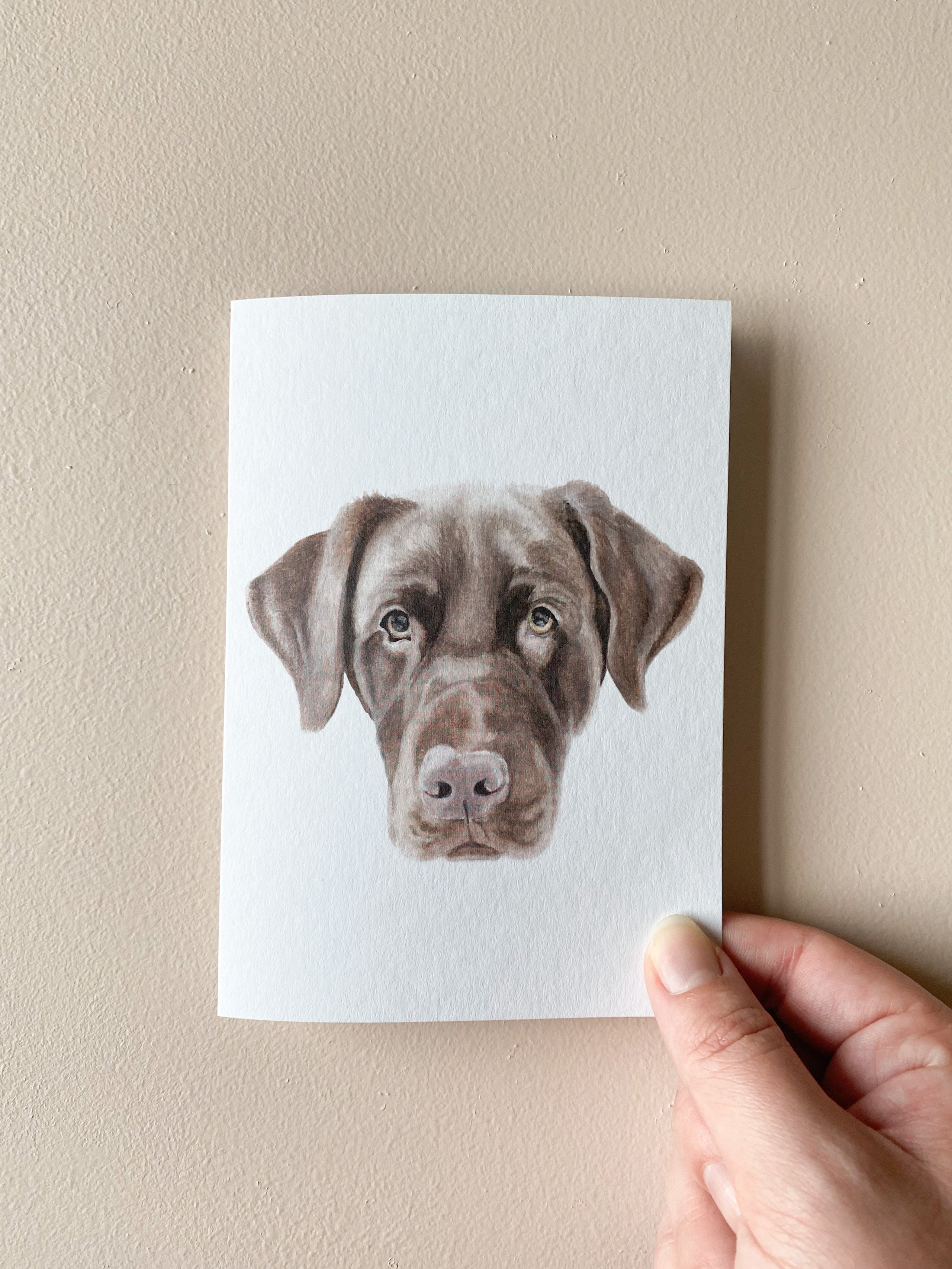 Chocolate Labrador Card | Annalise Paints